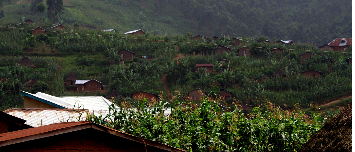 Peace Direct – An international charity dedicated to stopping violence.