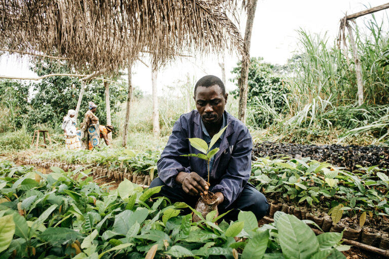 About us – Peace Direct