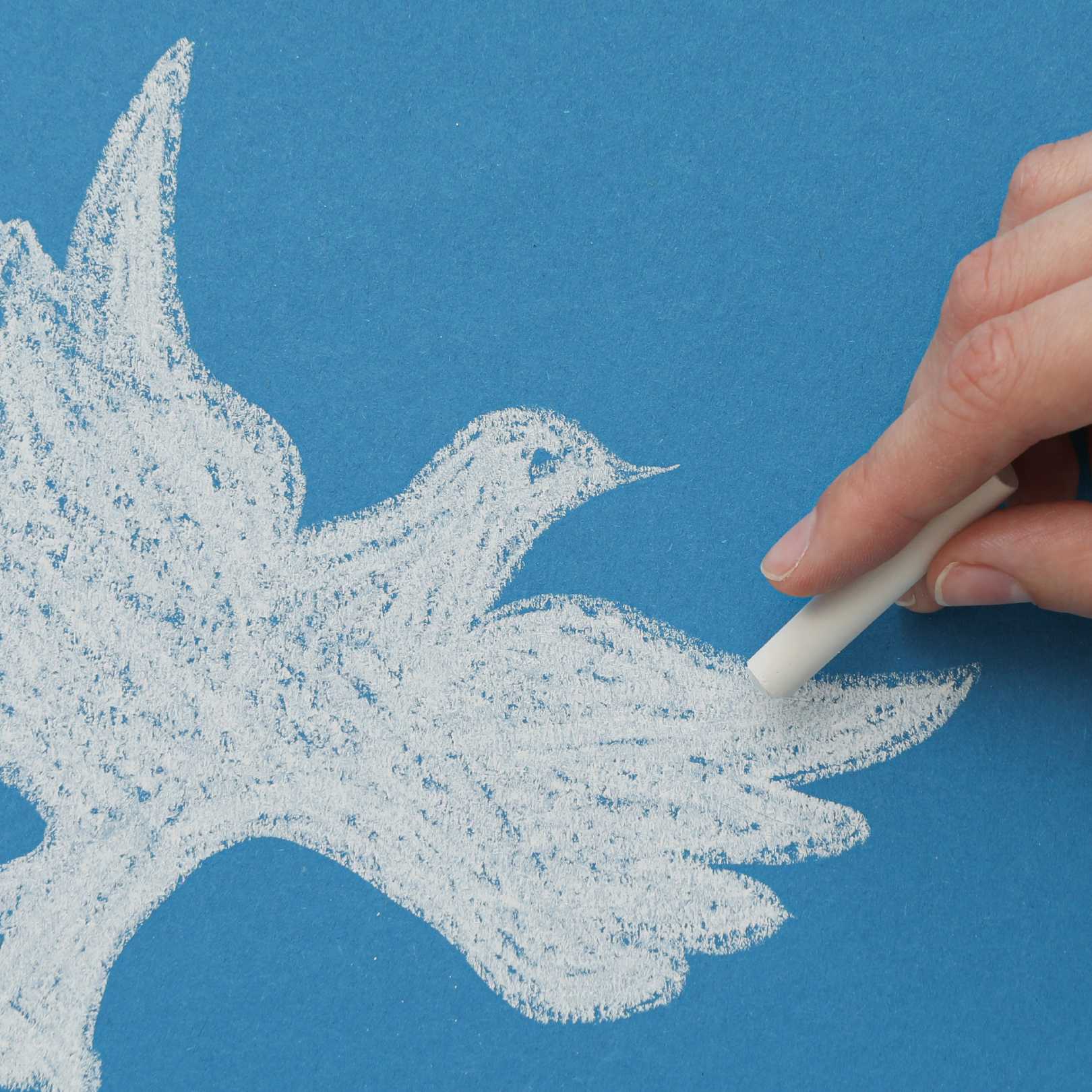 Sign up – Peace Direct