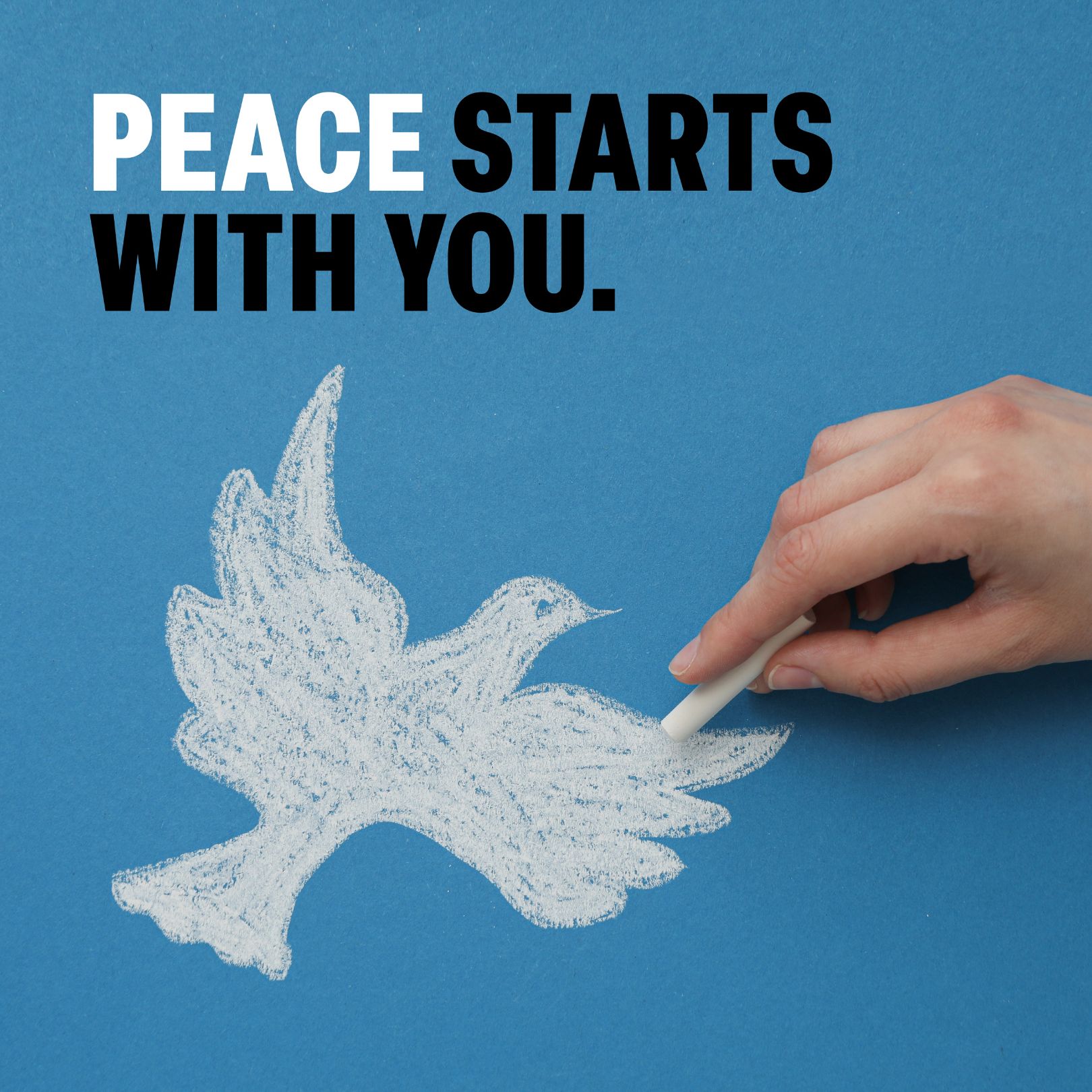 Sign up – Peace Direct
