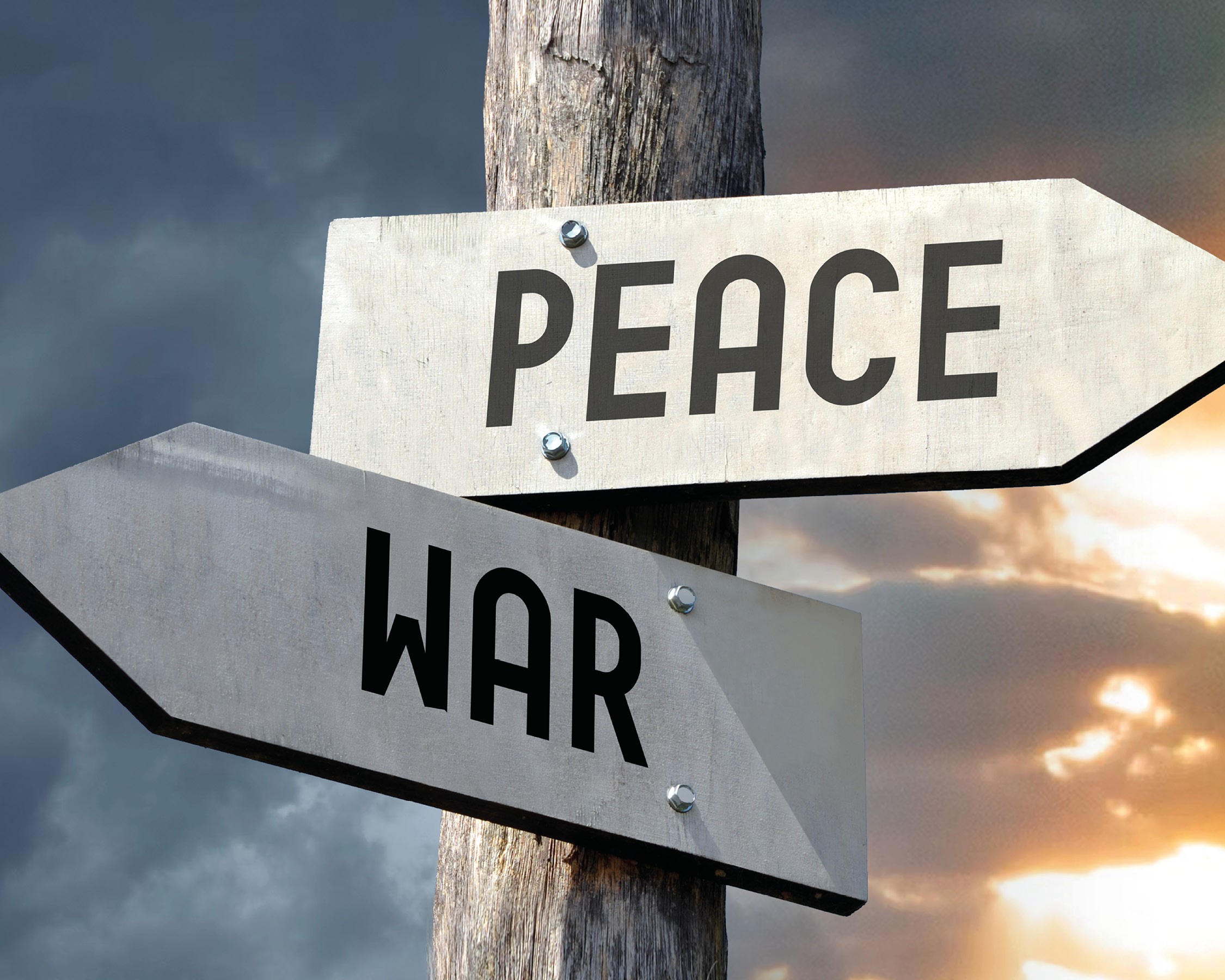 Download Your Fundraising Pack Today – Peace Direct